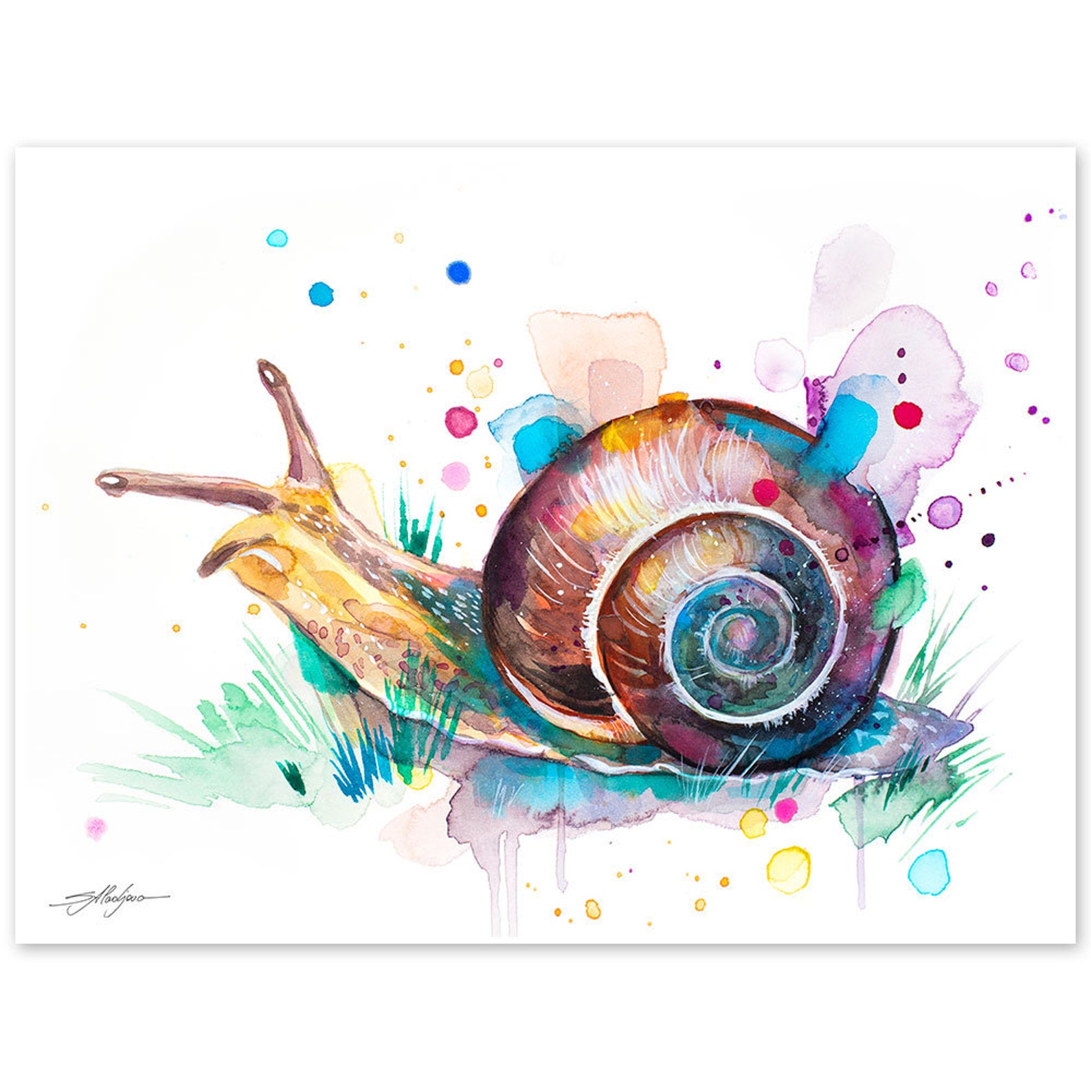 Snail Watercolor Painting Print by Slaveika Aladjova, Art, Animal ...