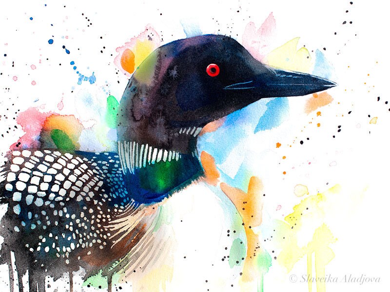 Huard commun Grande peinture d'aquarelle de plongeur - Etsy Canada