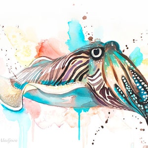Common Cuttlefish Watercolor Painting Print by Slaveika Aladjova, Art ...