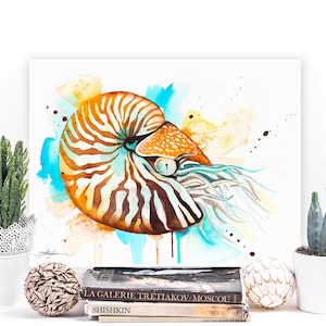 Chambered Nautilus Limited Edition Watercolor Art Print by Slaveika ...