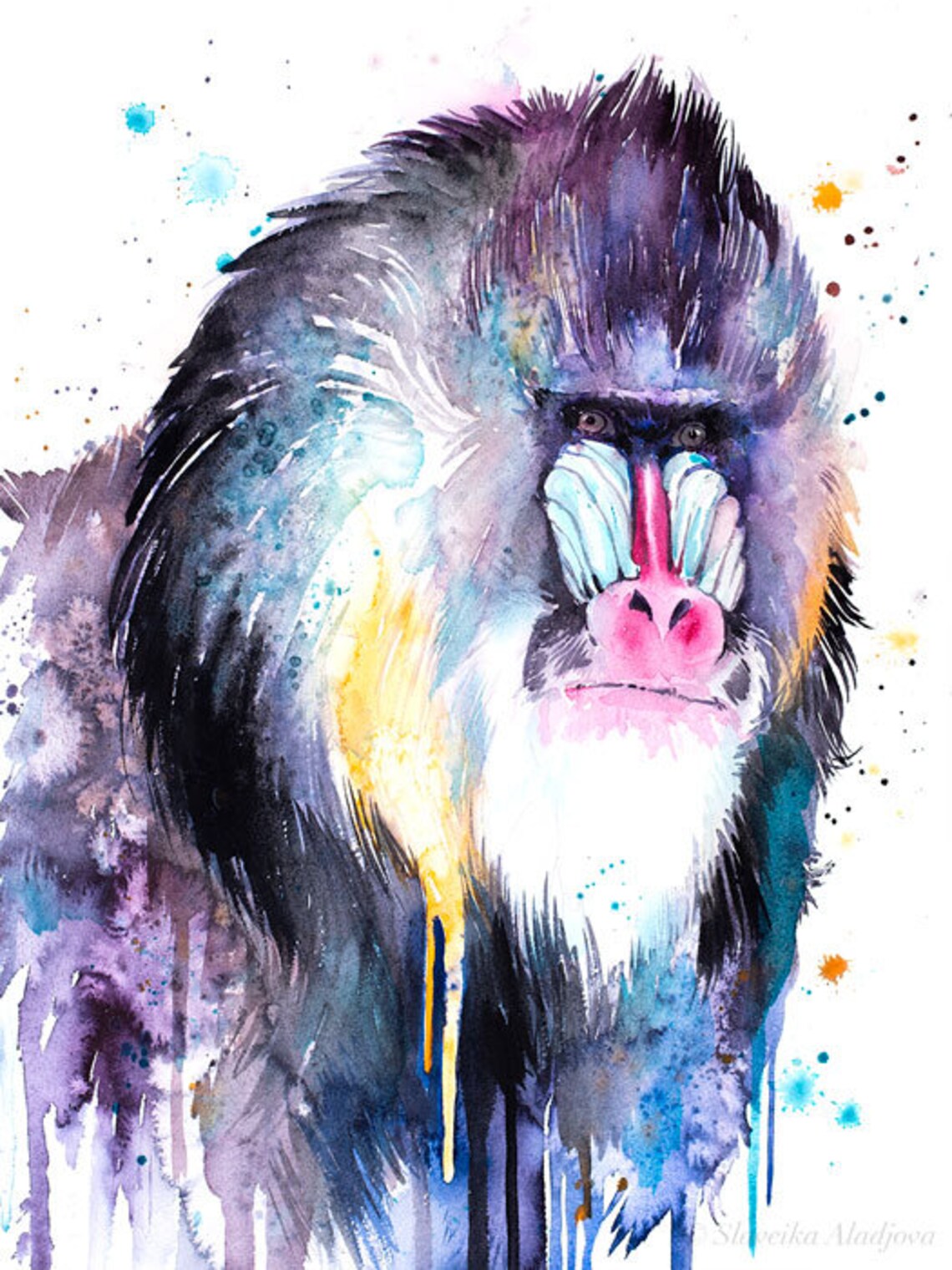 Mandrill Watercolor Painting Print by Slaveika Aladjova Art - Etsy UK