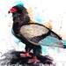 Bateleur Eagle Watercolor Painting Print by Slaveika - Etsy