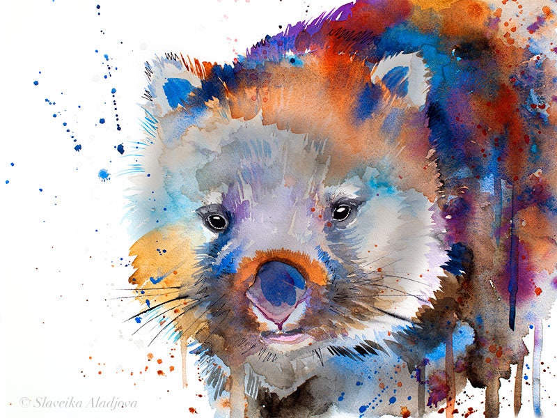Wombat Watercolor Painting Print by Slaveika Aladjova Art - Etsy Australia