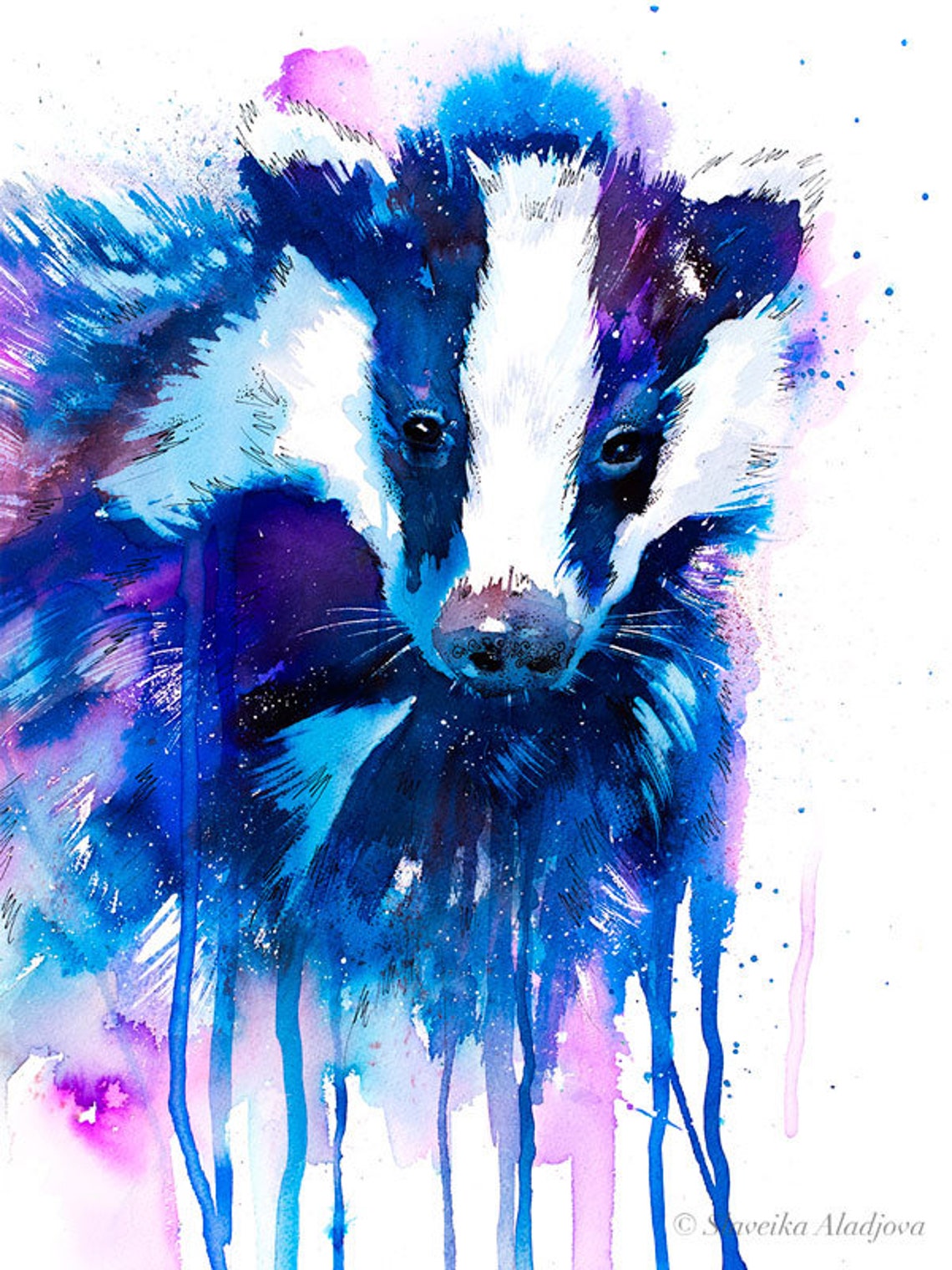 Badger Watercolor Painting Print by Slaveika Aladjova Art | Etsy