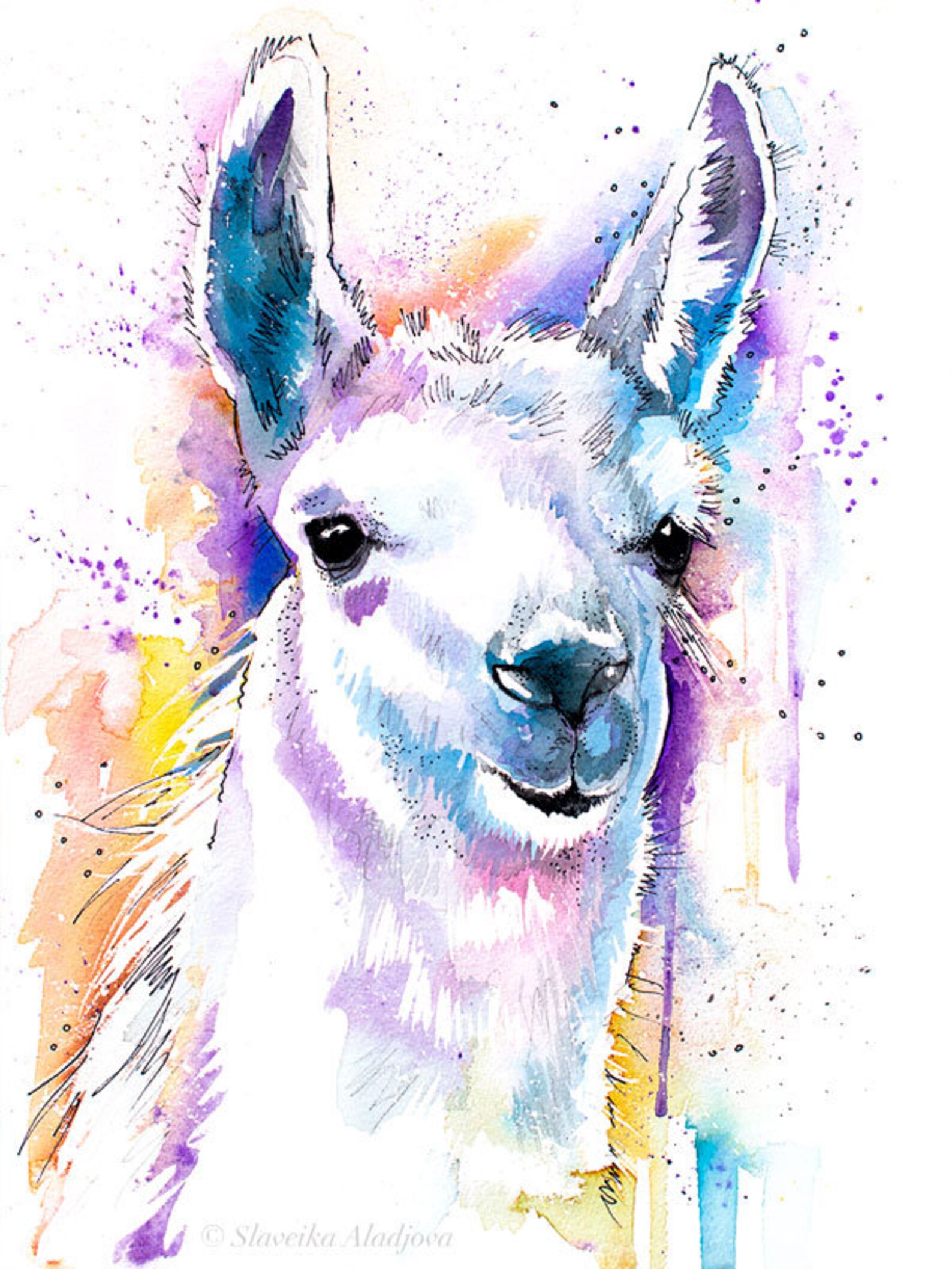 Llama Watercolor Painting Print by Slaveika Aladjova Animal - Etsy