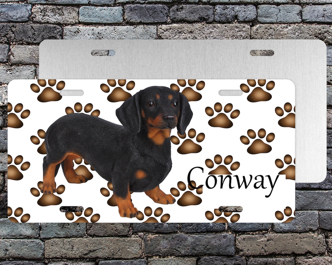 Custom Dachshund License Plate - Personalized Dog Lover Car Accessory ...