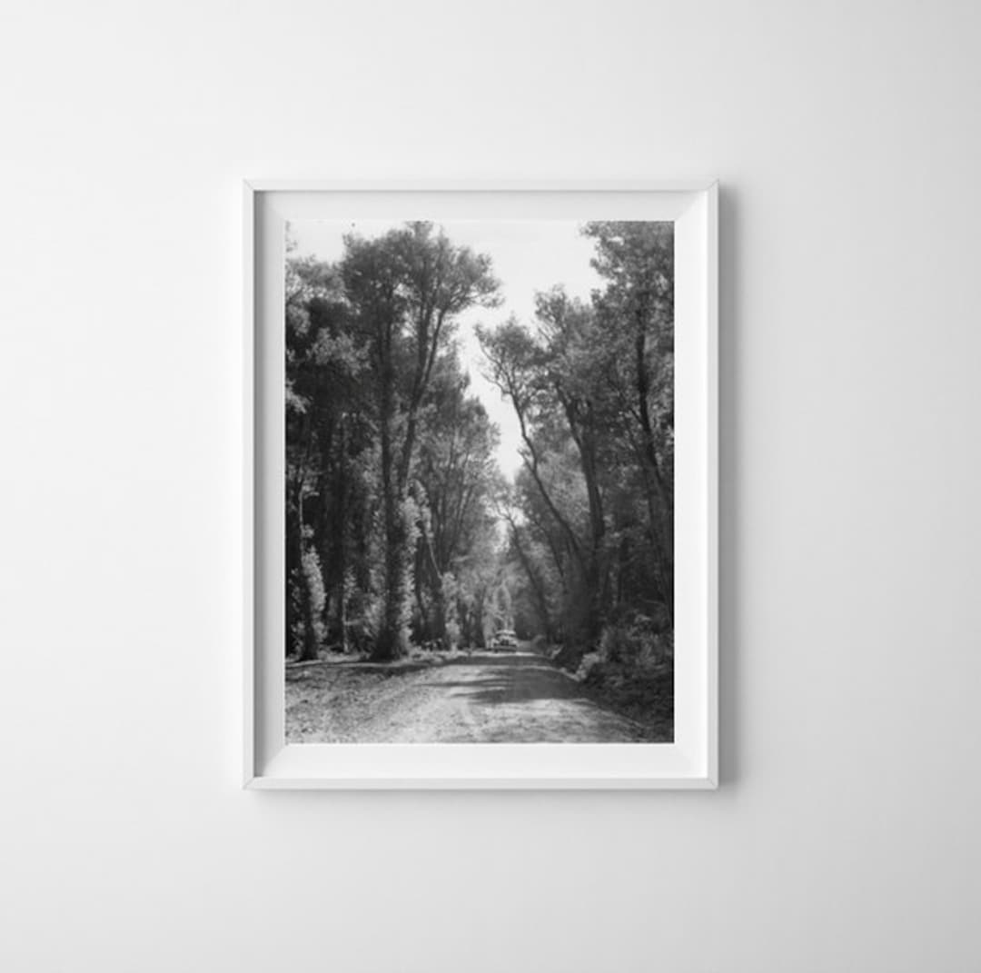 Country Road Print - Black and White | Vintage Photography - Etsy