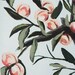 Just Peachy Wallpaper - Peach Tree Mural | Painted | Wall Decor ...