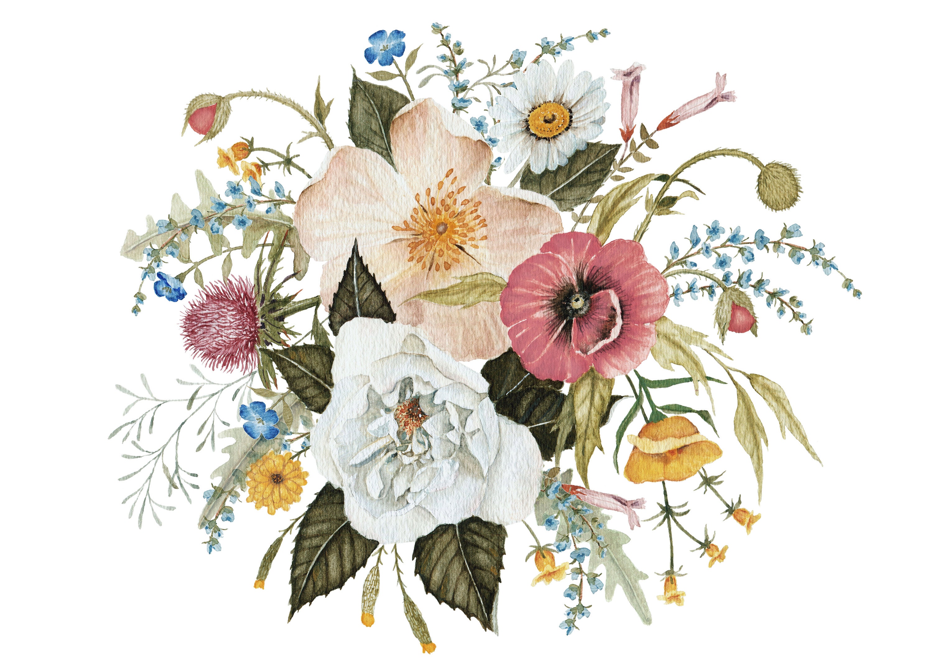 Honey Bloom Wallpaper Large Flower Mural Flower Pattern | Etsy Canada