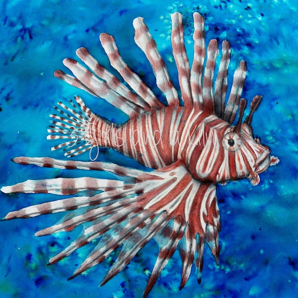 Lionfish - Etsy