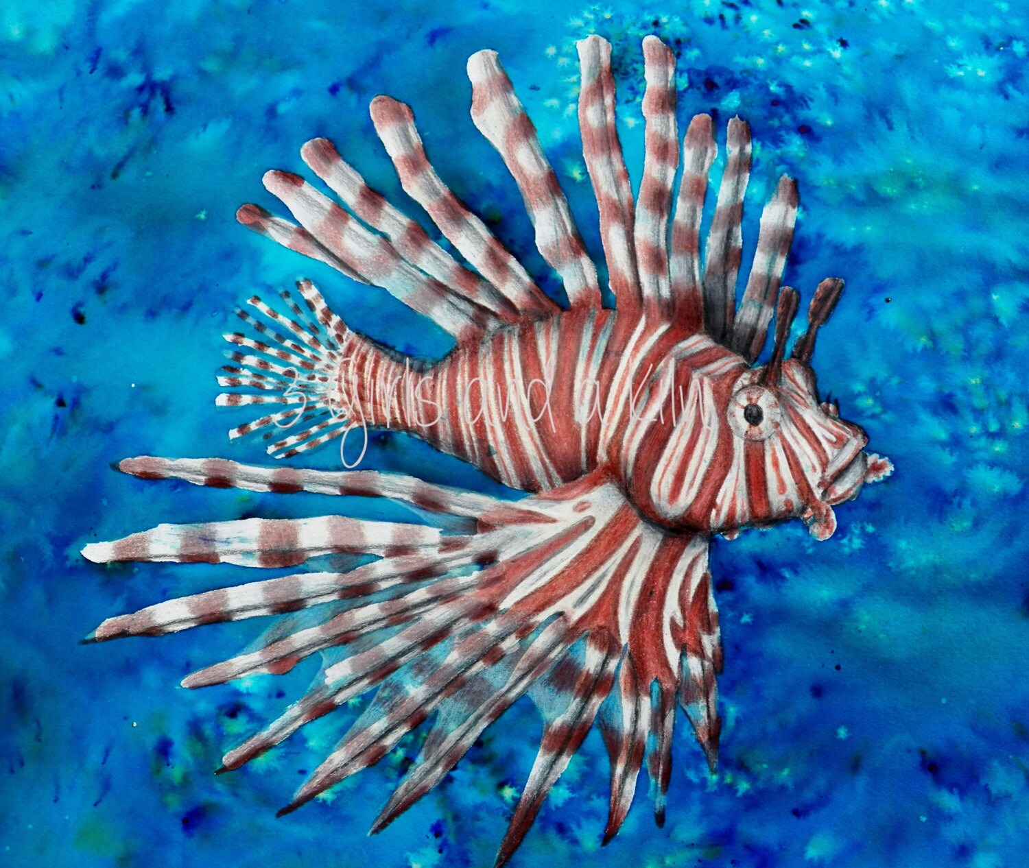 Cayman Lionfish Drawing and Watercolor Painting, 8x10 Print - Etsy