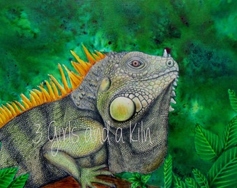 Cayman Parrots Drawing and Watercolor Painting 8x10 Print | Etsy