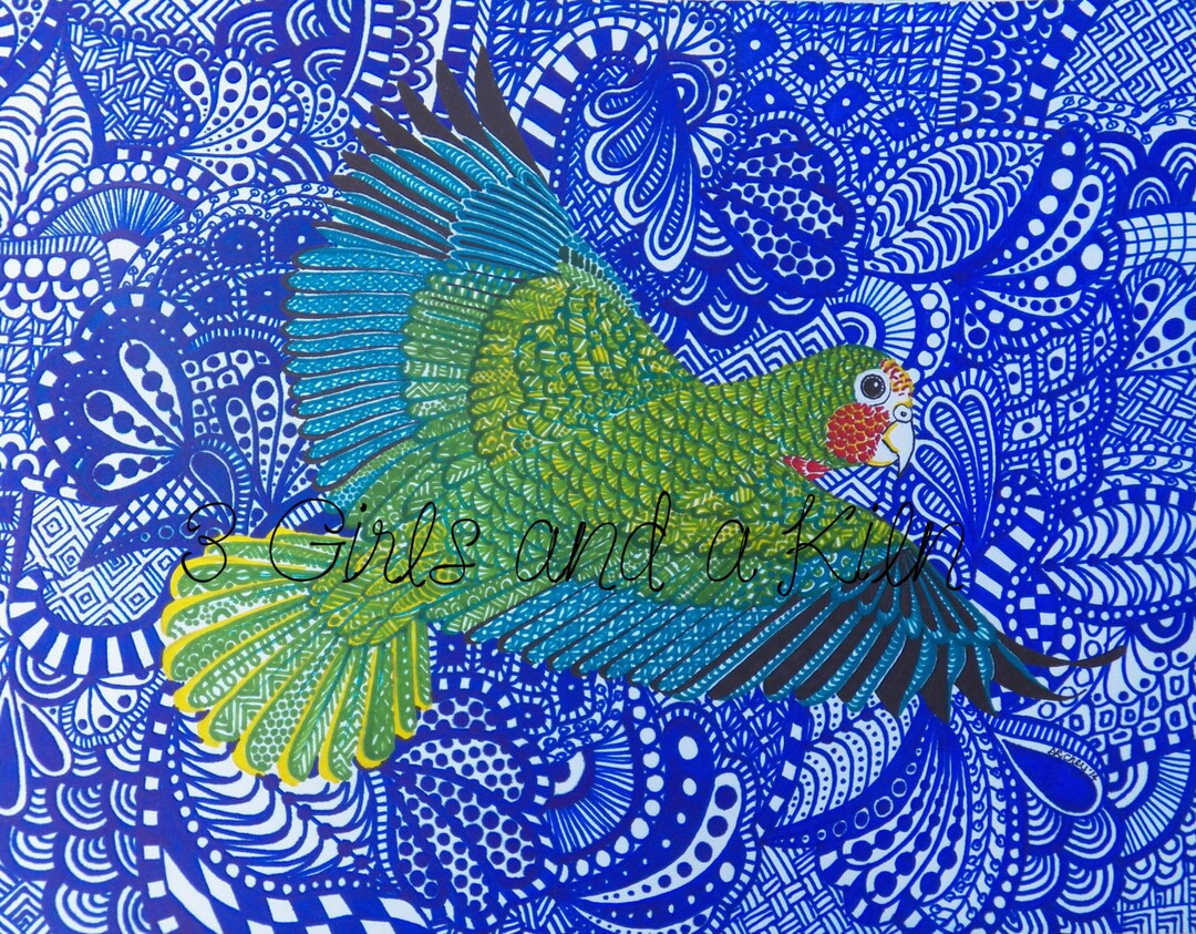 Cayman Parrot Zentangle , 11x14 Print - Etsy