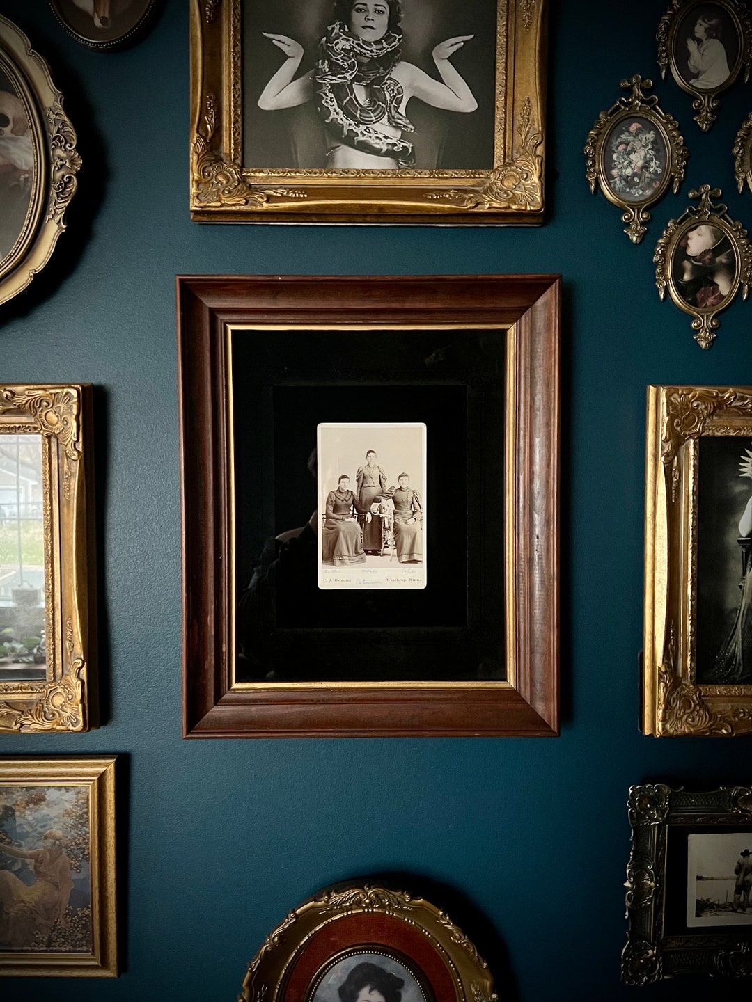 Antique Triplet Sisters Photo: 1800s Oddities Portrait in Velvet Frame ...