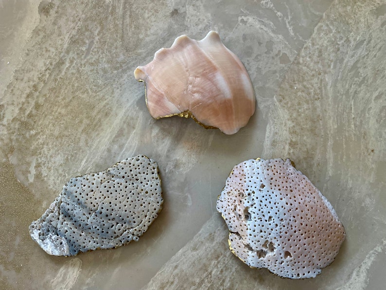 Decoupage Daisy Shell Ring Dish, Beach Decor, Shells, Decoupaged Shells ...