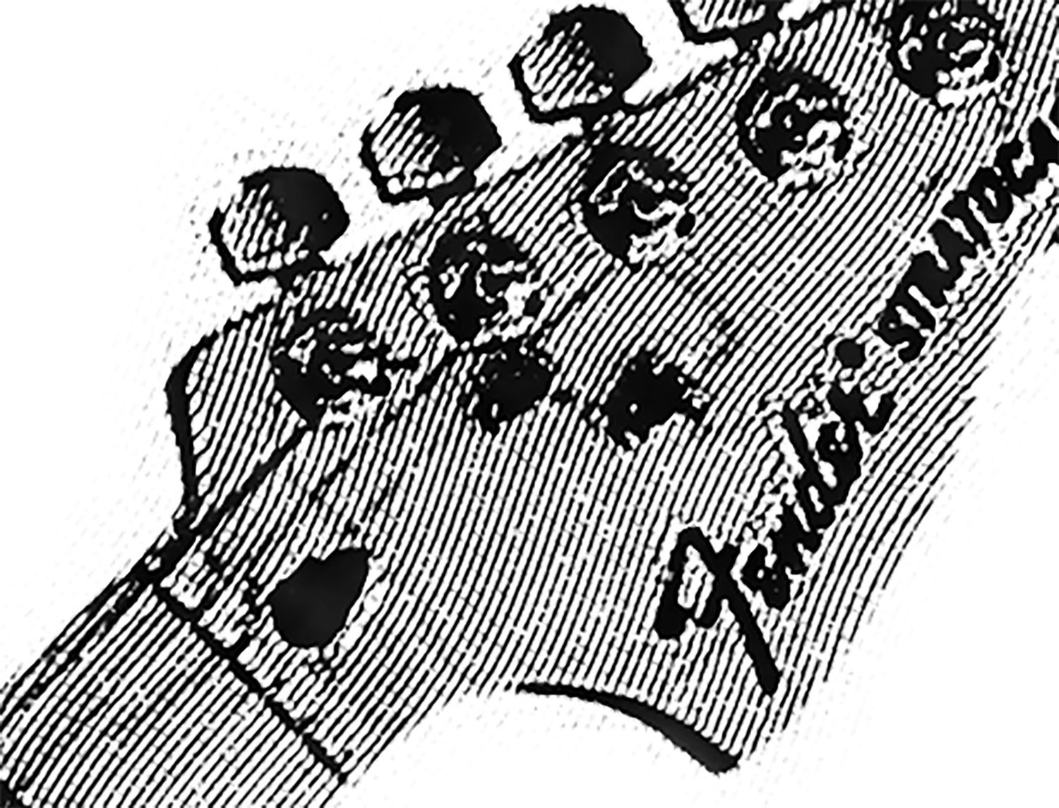 Electric Guitar Transparent Image. Guitar PNG. Guitar Images ...