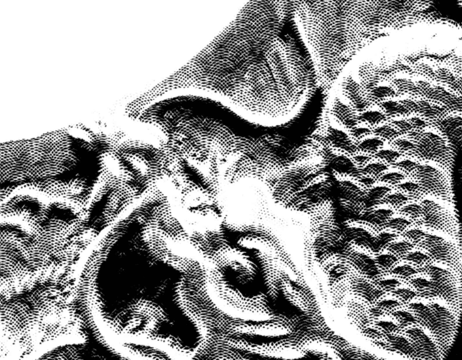 Vintage Dragon Frame Transparent Image. Dragon PNG. Picture Frame PNG ...