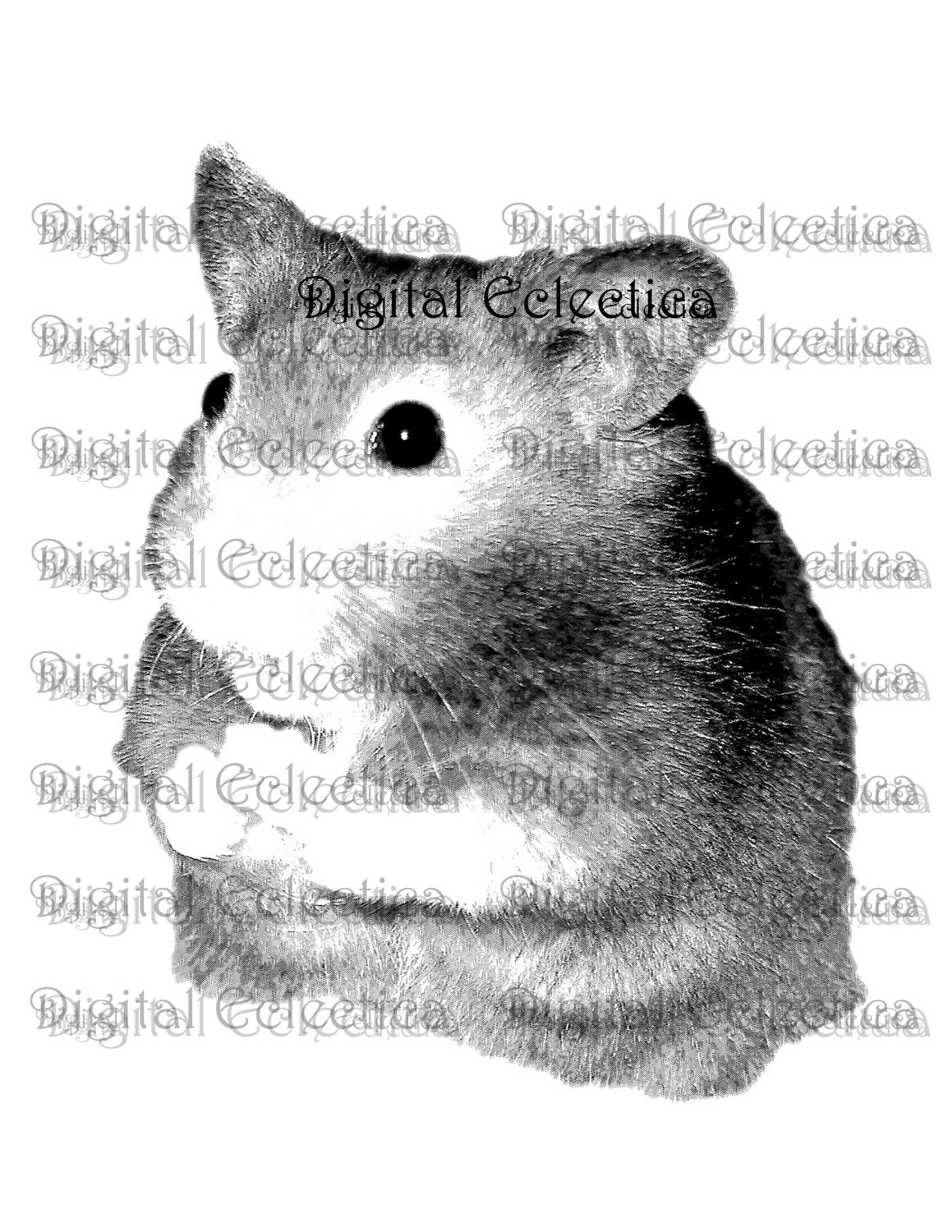 Golden Hamster. Hamster PNG. Animal PNG. Hamster Prints. Hamster Images ...