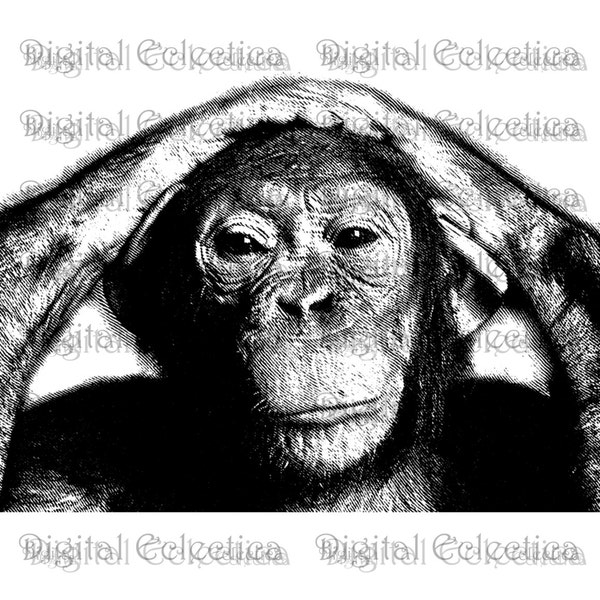 Chimpanzee Art - Etsy
