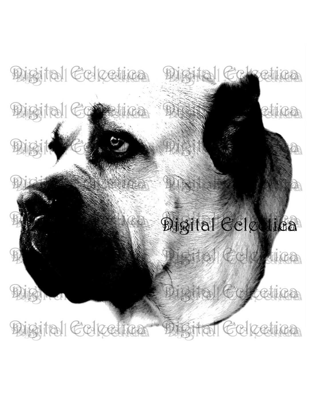 Mournful Expression Dogs. Dog PNG. Animal PNG. Dog Prints. Dog Images ...