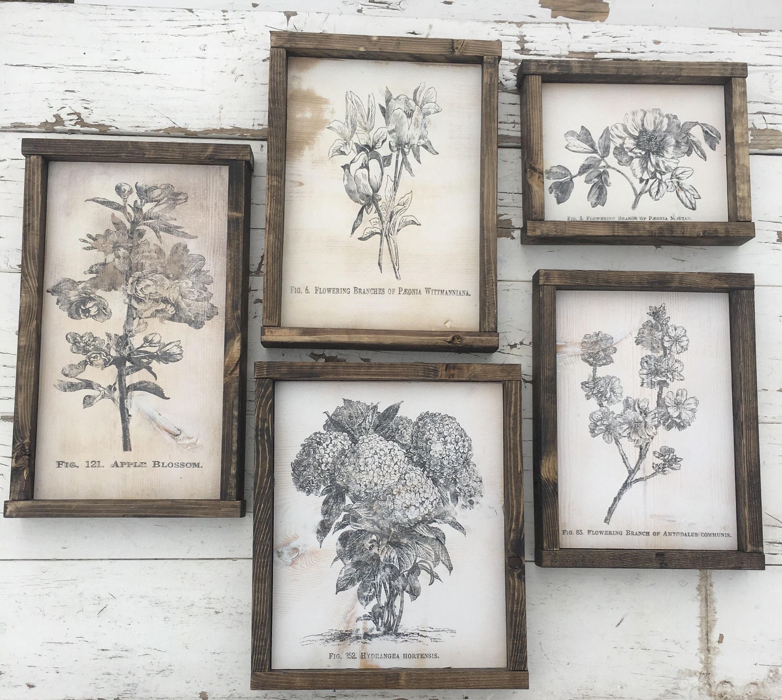 Vintage Floral Signs Set - Etsy