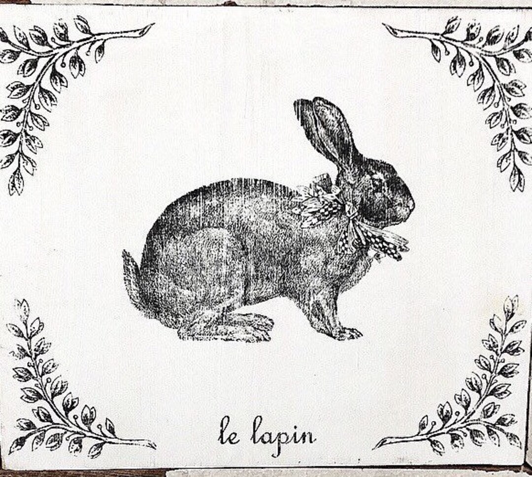 Le Lapin INSERT - Etsy