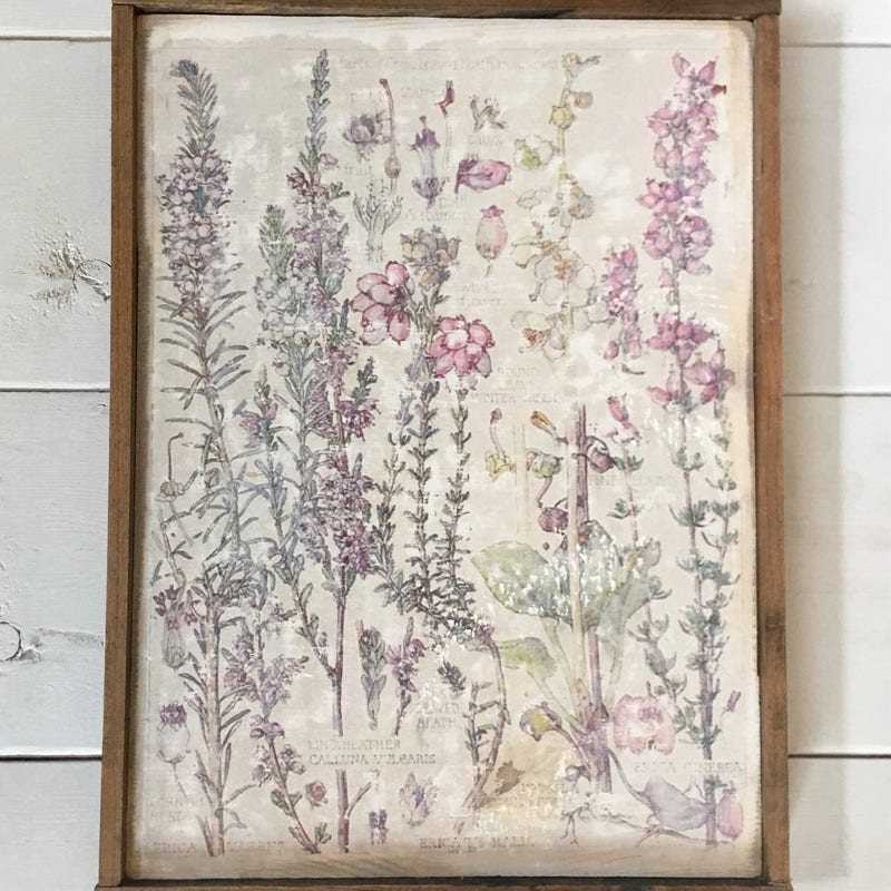 Botanical Signs - Etsy