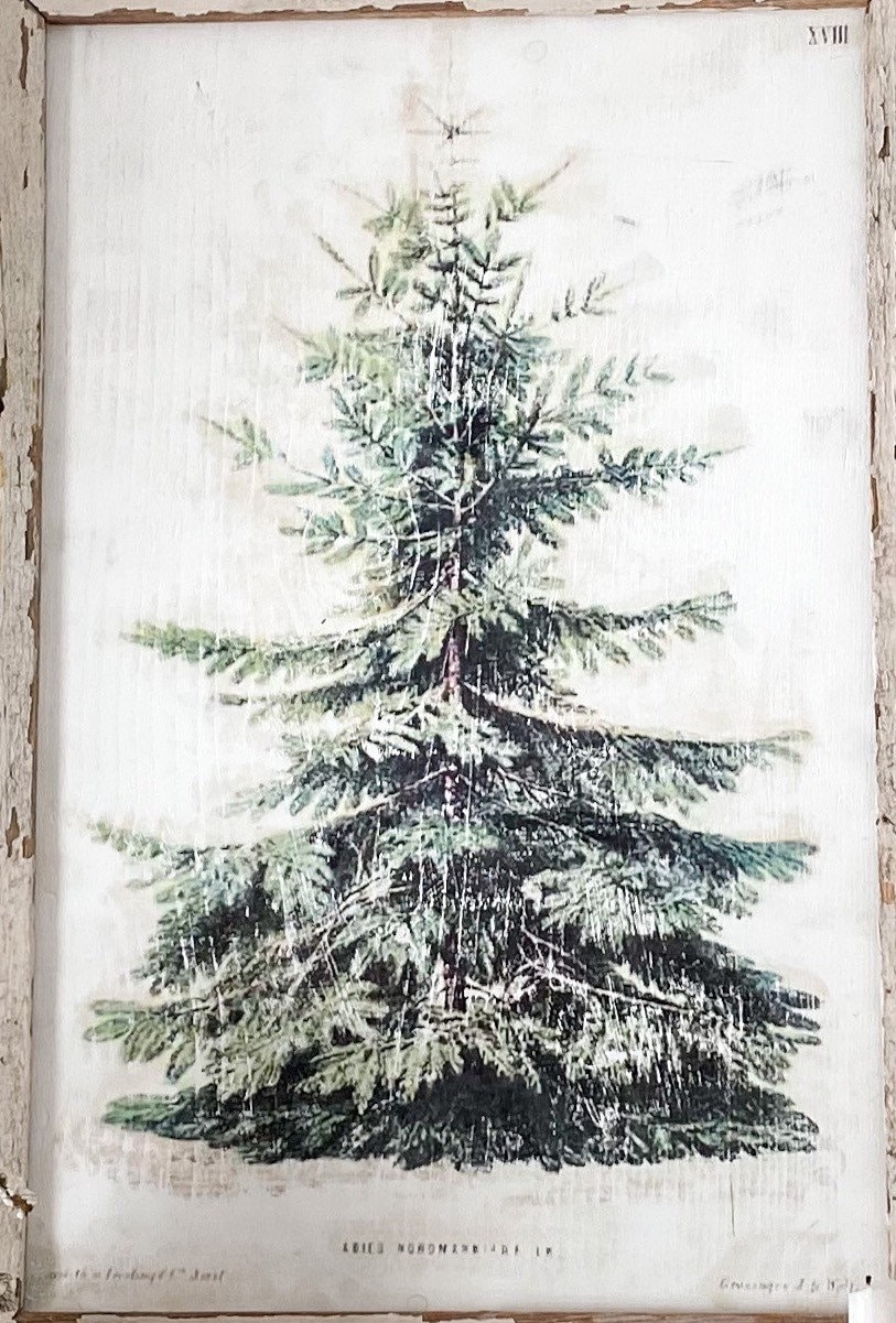 Pine Tree INSERT - Etsy