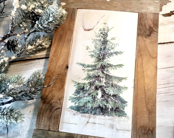 Pine Tree Botanical Sign - Etsy