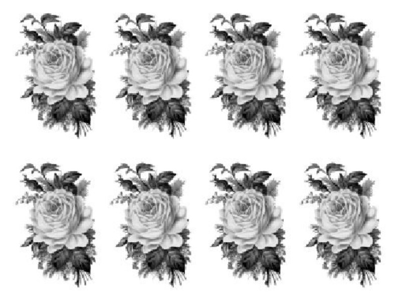 Vintage Image Black White Cabbage Rose Furniture Transfers - Etsy
