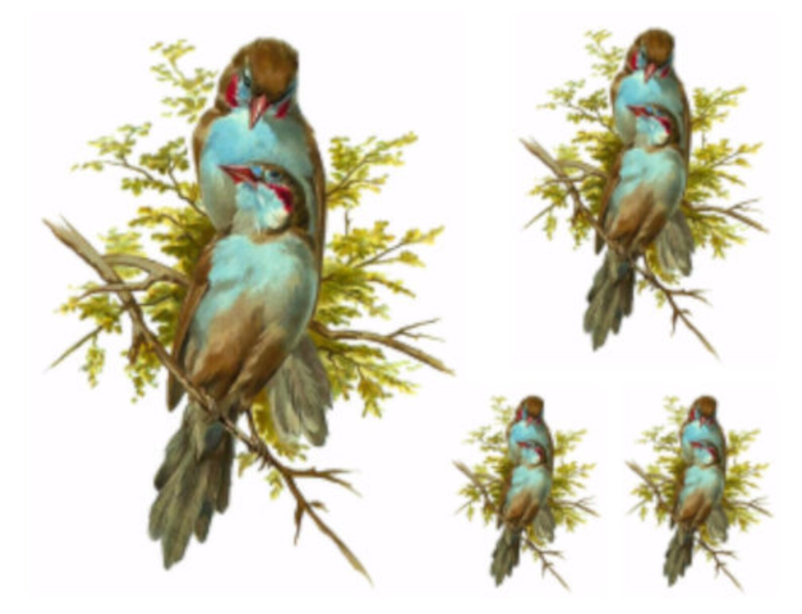 Vintage Image Victorian Blue Birds Tree Branch Furniture Transfers ...