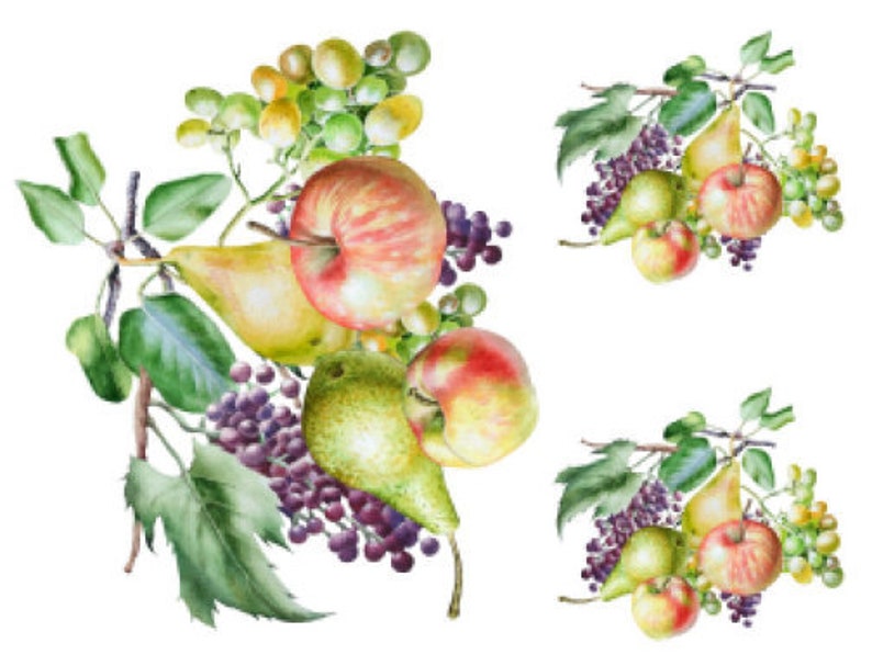 Vintage Image Fruit Assortment Furniture Transfers Waterslides Decal ...