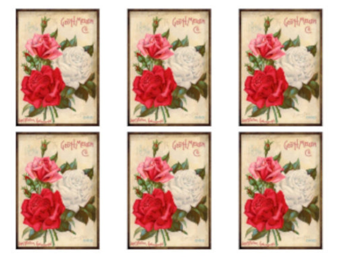 Vintage Image Victorian Seed Packet Pink Roses Labels | Etsy