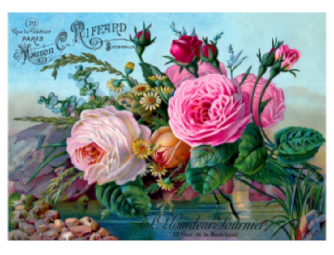Vintage Image French Typography Roses Flowers Furniture Size Waterslide ...