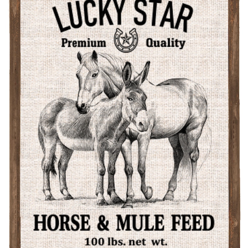 Feed Sack - Etsy