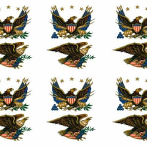 Vintage Image Retro Patriotic Early American Eagle Transfers Waterslide ...
