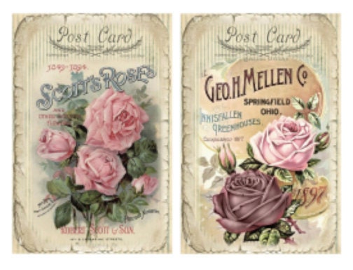 Vintage Image Shabby Victorian Rose Postcard Seed Catalog - Etsy