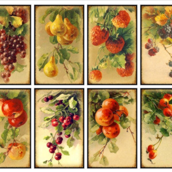 Victorian Fruit - Etsy