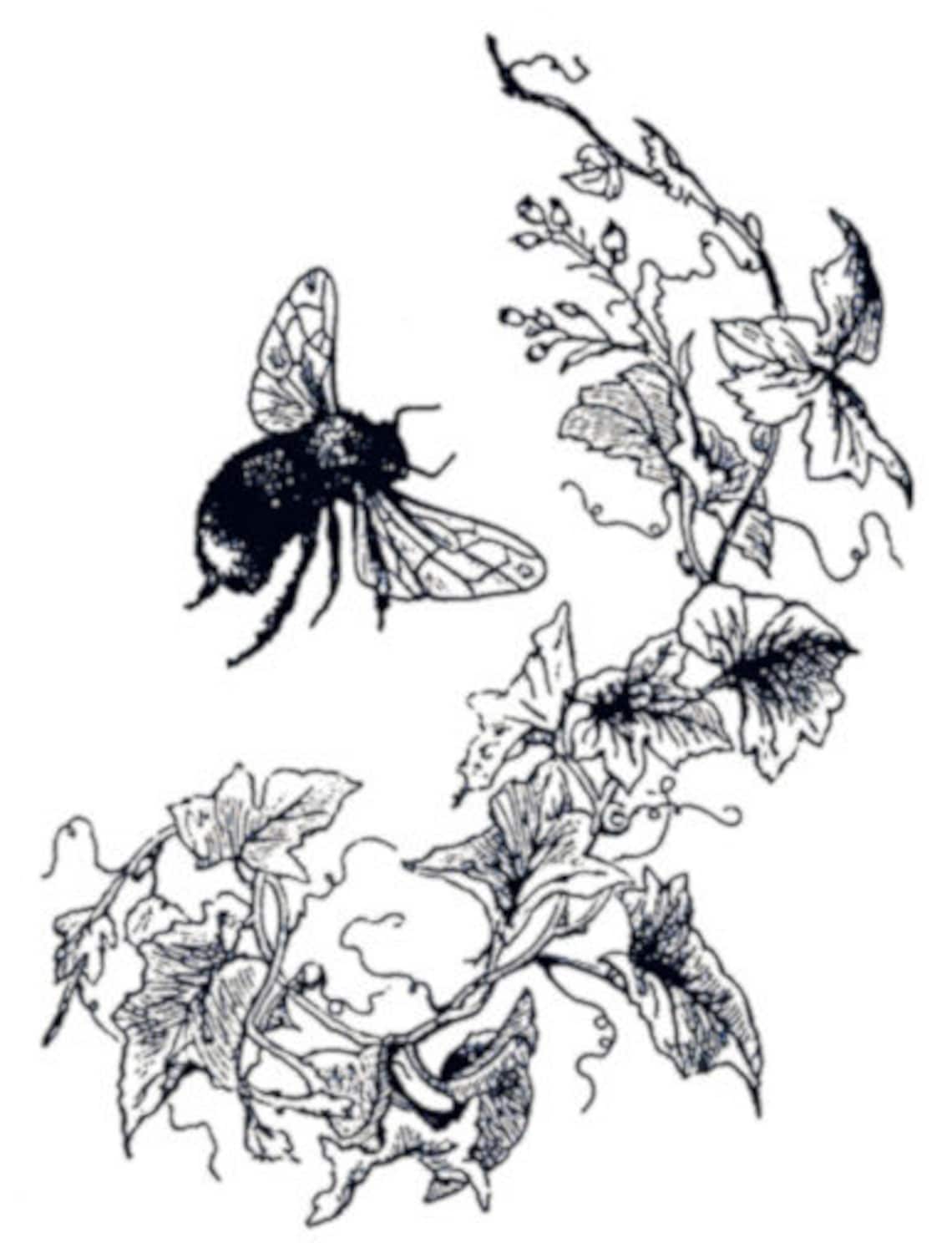 DIGITAL DOWNLOAD Vintage Victorian Image Bee and Ivy Vine | Etsy