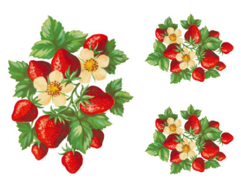 Vintage Image Retro Bunches of Strawberries Fruit Transfers - Etsy