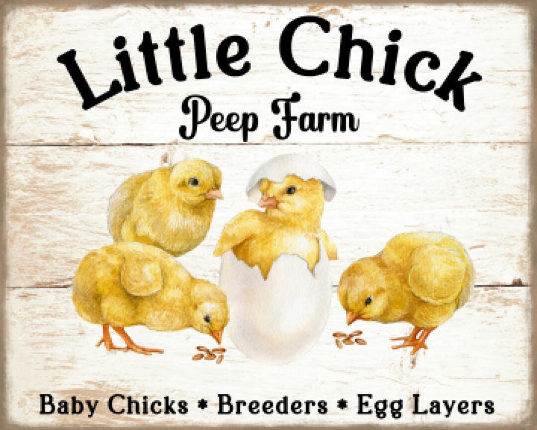 Live Chicks-Peep Show Personalized Poultry Farming Layer Wood Art