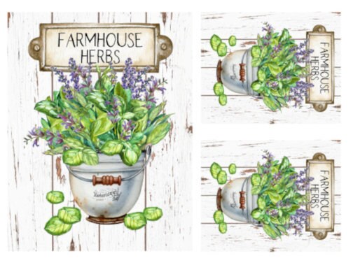 Vintage Image Kitchen Herbs in Bucket Spices Farmhouse Fresh Waterslide ...