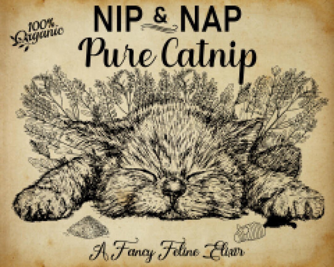 Vintage Grunge Background Primitive Catnip, Cats, Herbal Apothecary ...