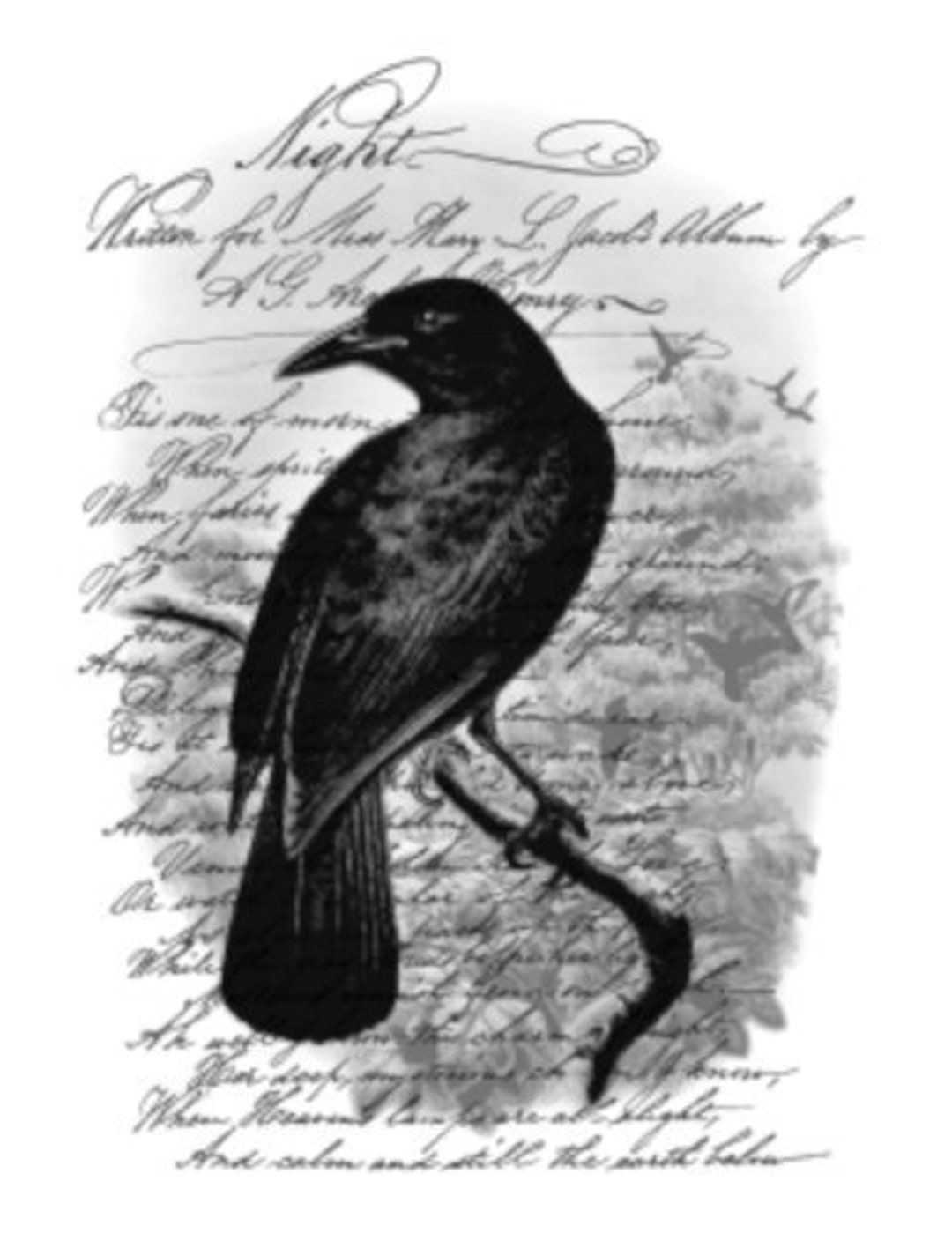Vintage Image French Bird Raven Crow Night Poem Furniture Transfers ...