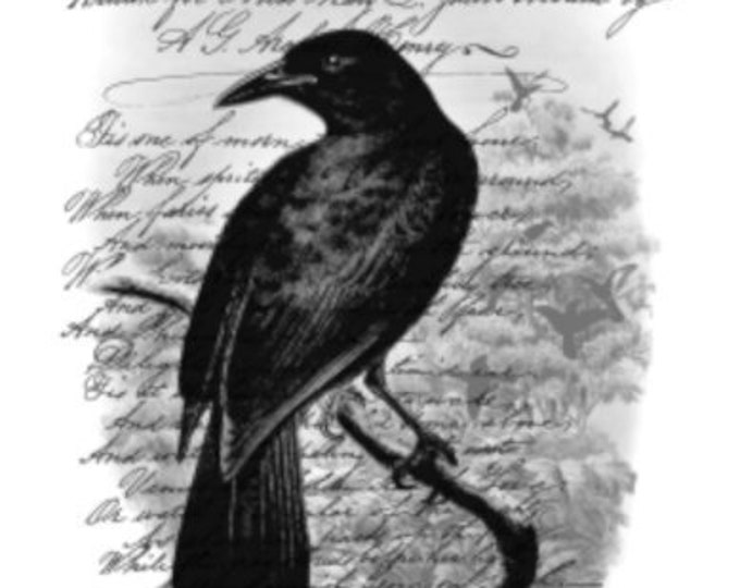 Vintage Image French Bird Raven Crow Night Poem Furniture - Etsy