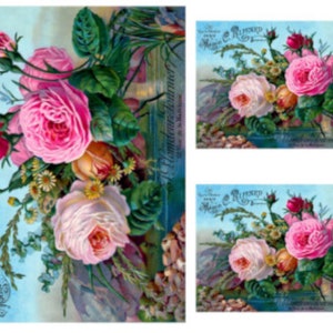 Vintage Image French Typography Roses Flowers Furniture Size Waterslide ...