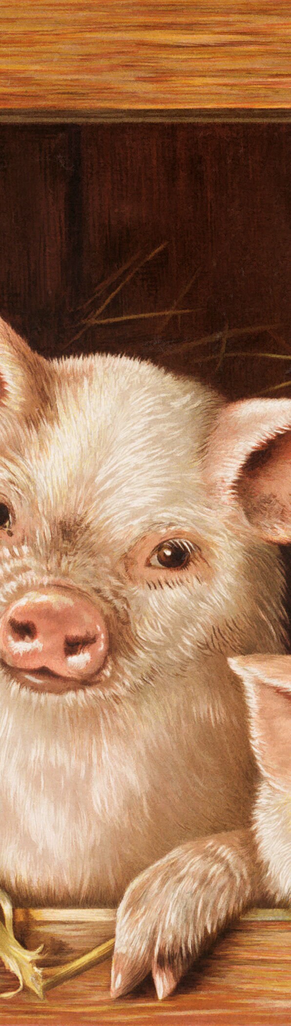 Vintage Image Wooden Framed Pigs Digital Download Printable - Etsy