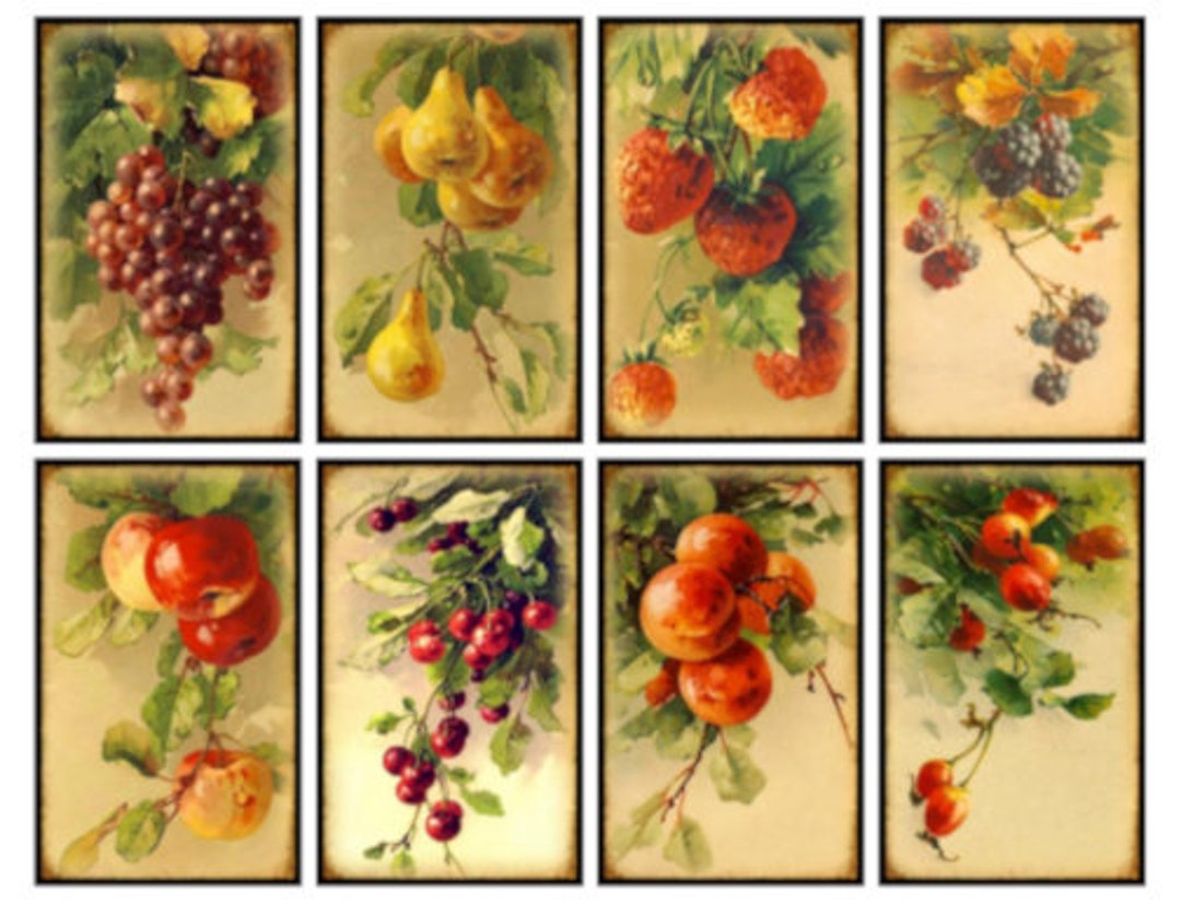 Vintage Image Victorian Shabby Fruit Assortment Labels Tags Transfers ...