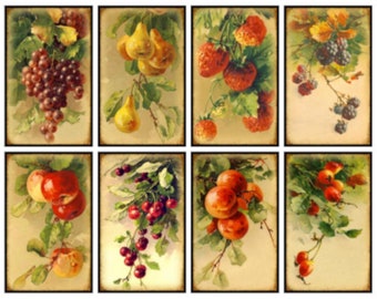 Vintage Image Retro Fruit Assortment Furniture Transfers | Etsy