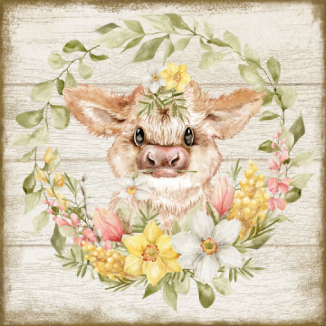 Vintage Grunge Wood Background Baby Highlander, Spring Flowers, Wreath ...